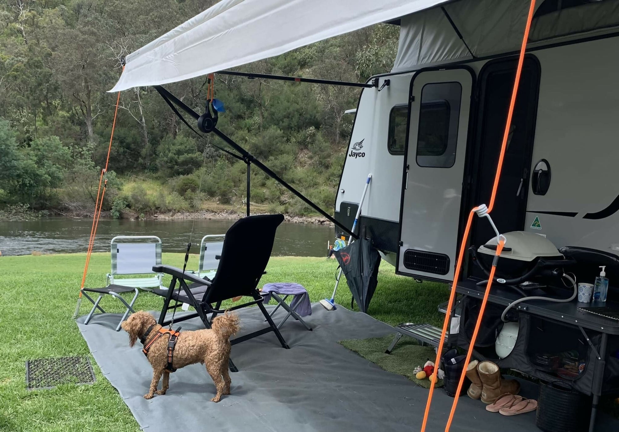 Zippet pet restraint Dog zipline for Camping — AMD Touring