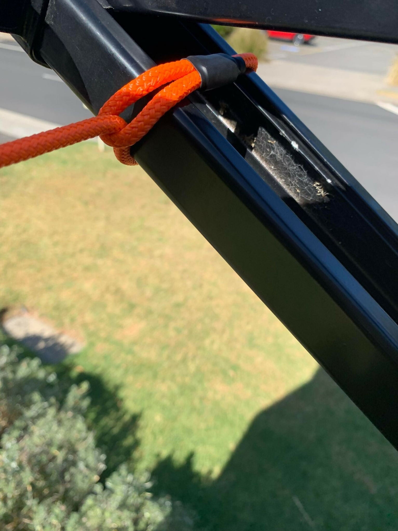 Zippet pet restraint Dog zipline for Camping — AMD Touring