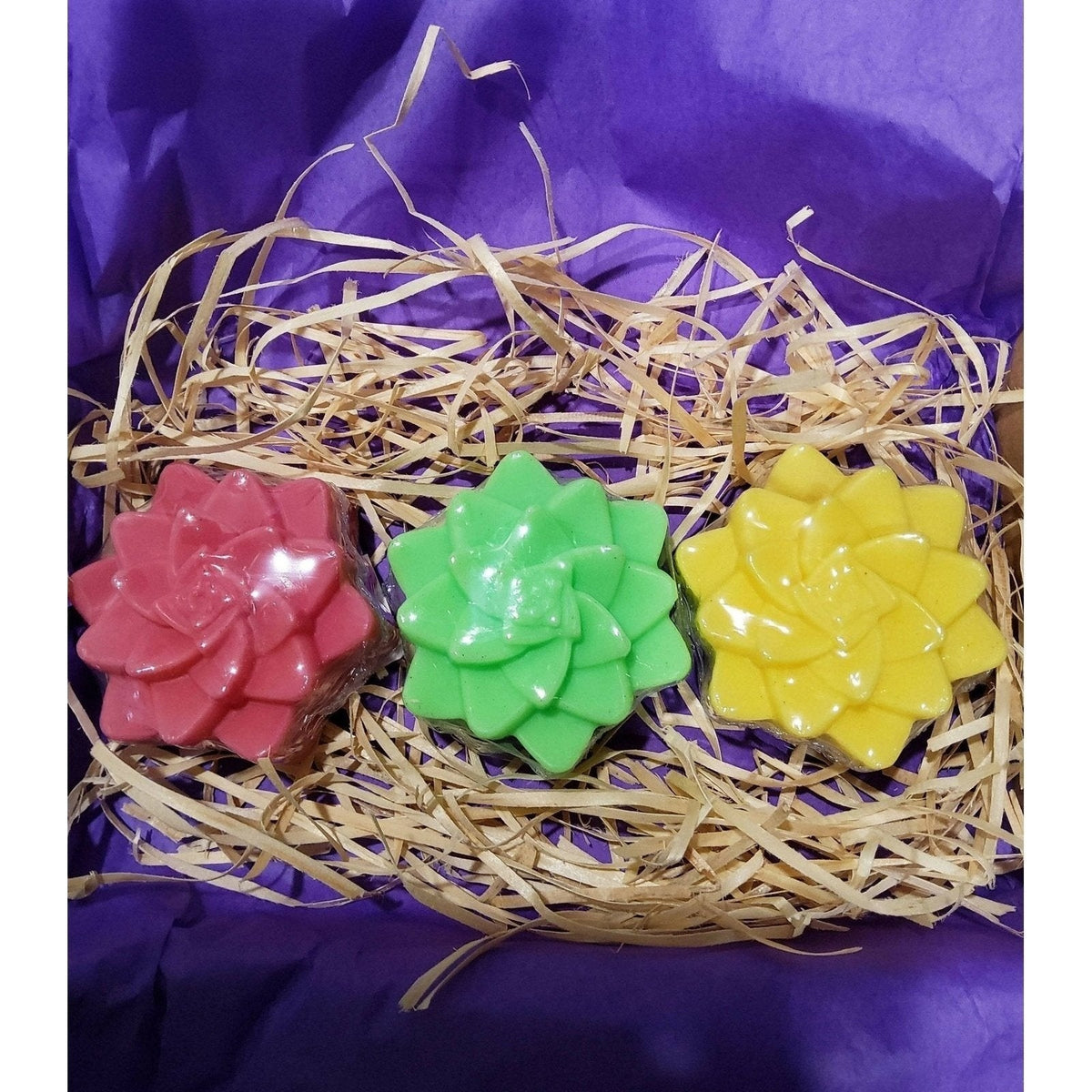 3 Handmade Soaps - Succulents- Fruit Fragrance - Giftbox — AMD Touring