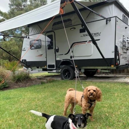 Zippet 2 dogs pet restraint -Australian Made — AMD Touring